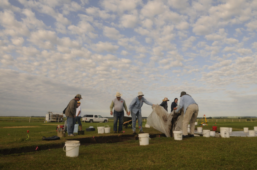 Thrill of the dig | News, Sports, Jobs - Lawrence Journal-World: news ...